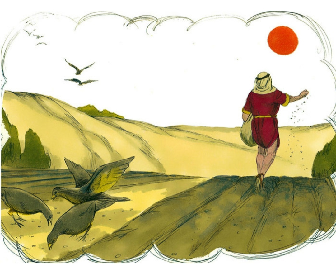 LESSONS FROM THE PARABLE OF THE SOWER AND THE SEED | The Gospel ...